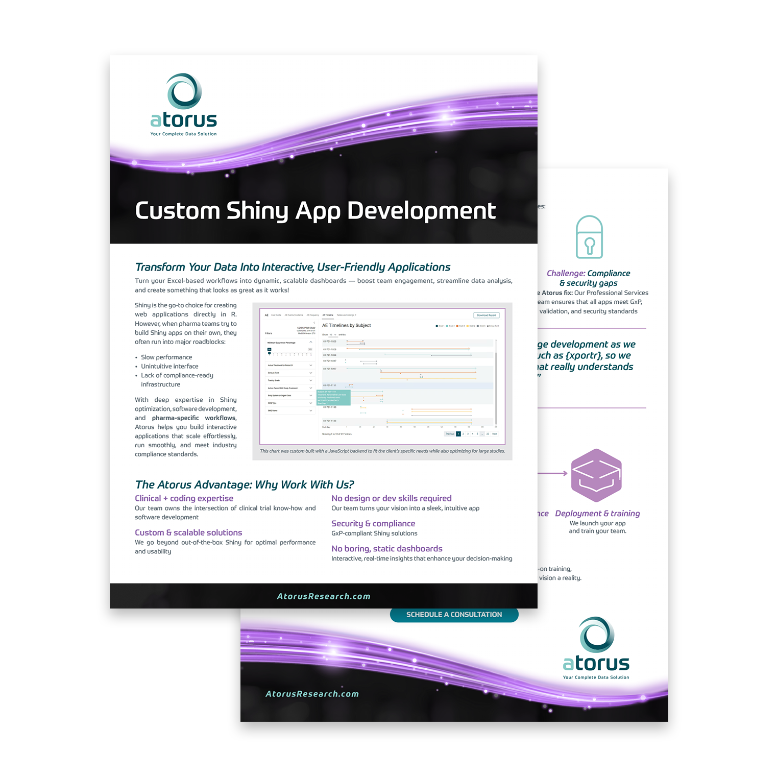 Clinical Analytics Solutions | Atorus Research